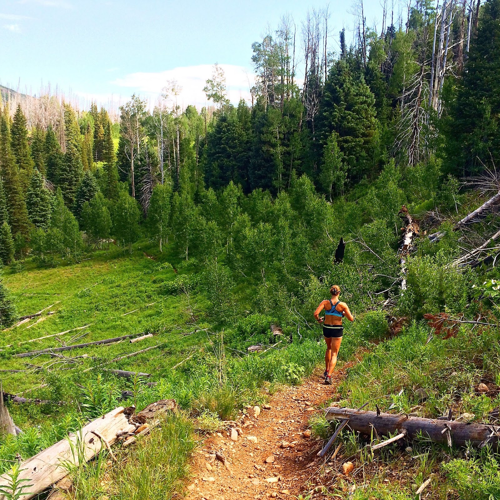 Reinventing the Run: A Summer of Campground Hosting, Running, Racing ...