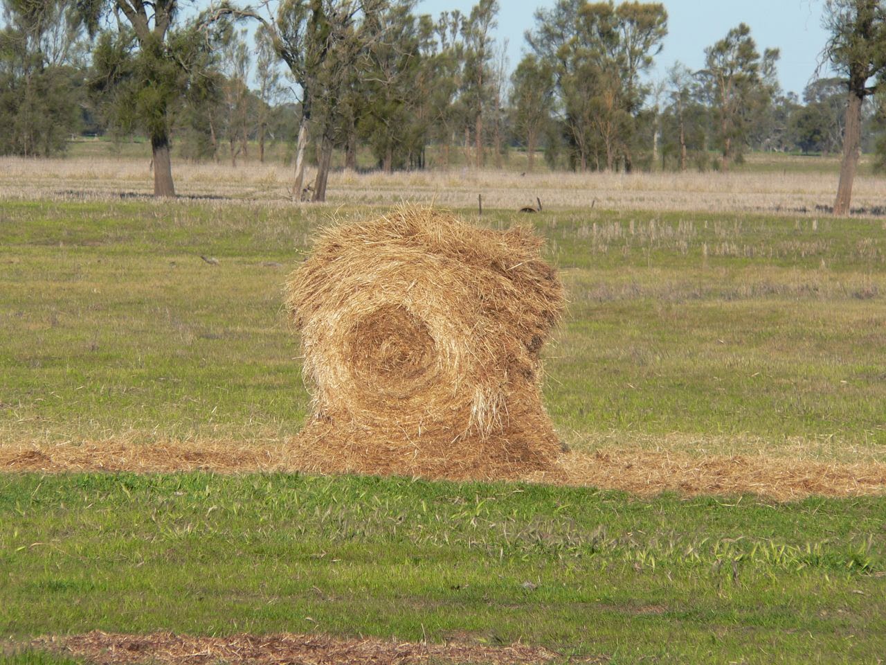 Chant du Départ: January 2015