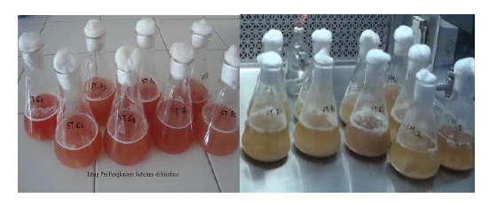 Mikrobiologi : Uji Salmonella: Uji Salmonella