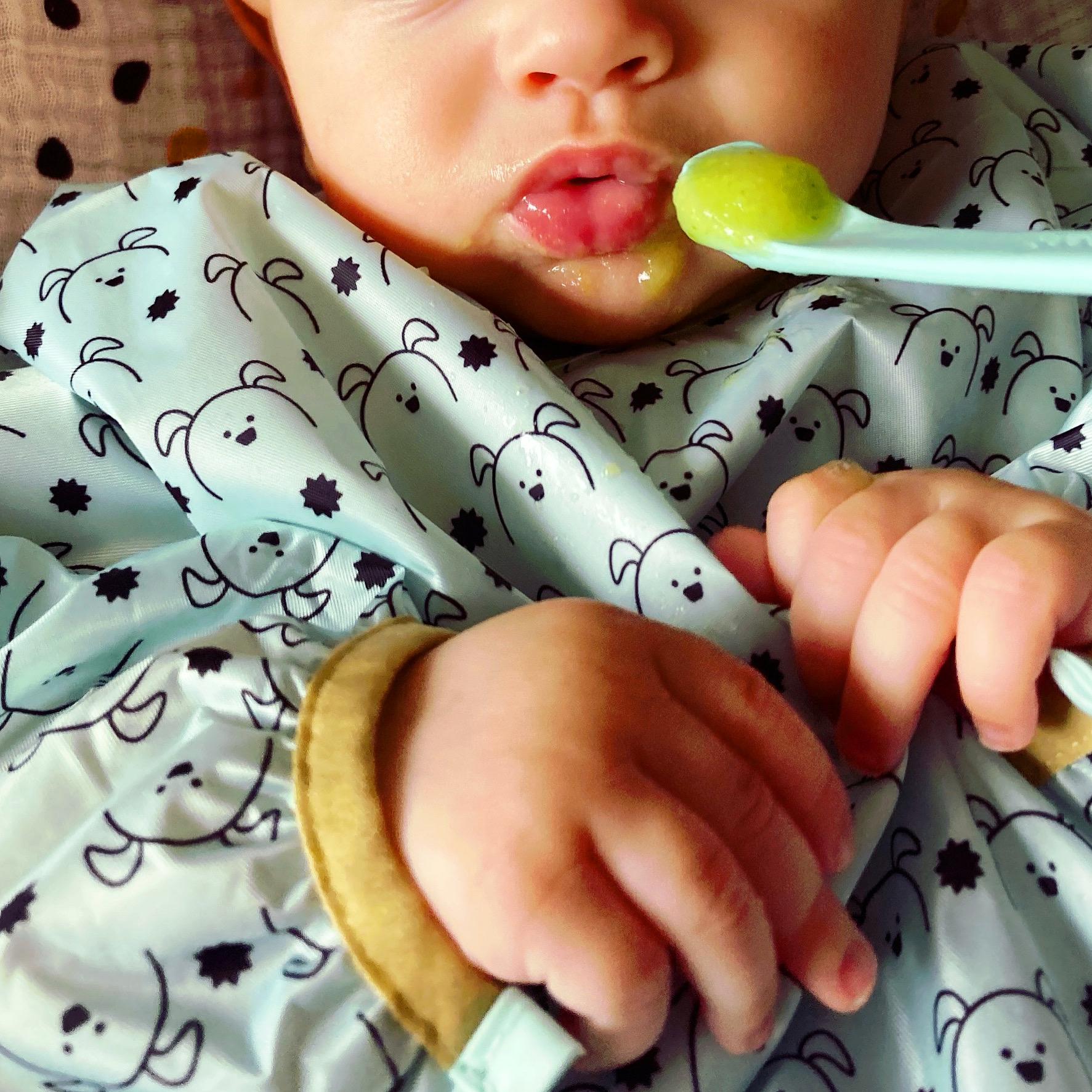 Petit Chat Malo.: Purée de courgettes (dès 4 mois).