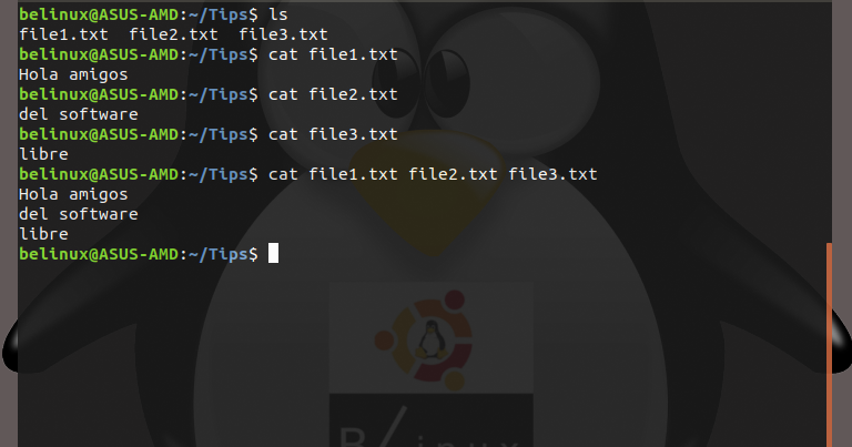Ubuntu Linux: Comando "CAT" en Linux
