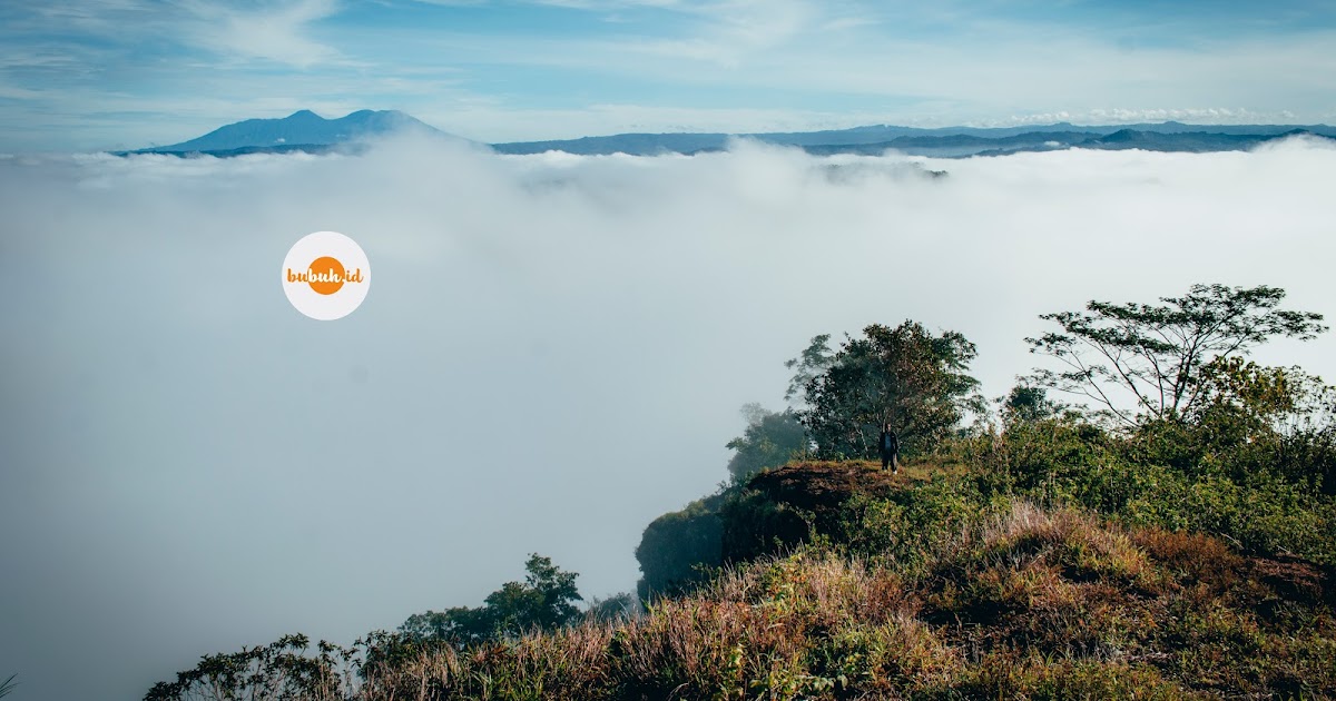 Jelajahi Gunung Gedogan - Bukit Terbaik belakang rumah - Sagaranten ...
