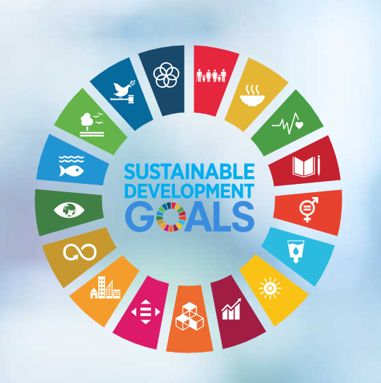 LECTURE 1 : DEFINITION OF SUSTAINABLE DEVELOPMENT GOALS