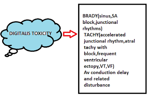 DIGOXIN ECG CHANGES DIGITALIS TOXICITY-DIGITALIS EFFECT