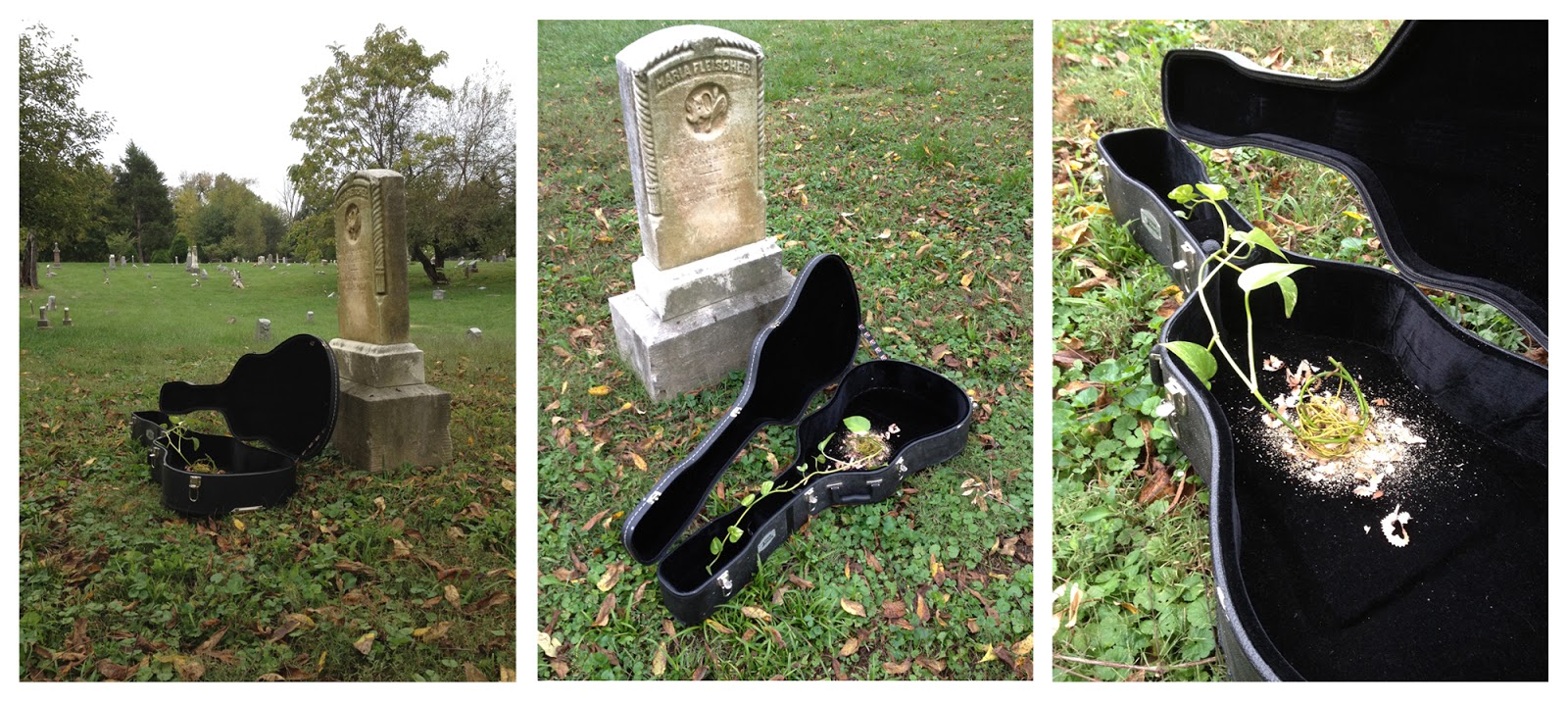 Carothers-UofL-PublicArt: THE DIORAMA