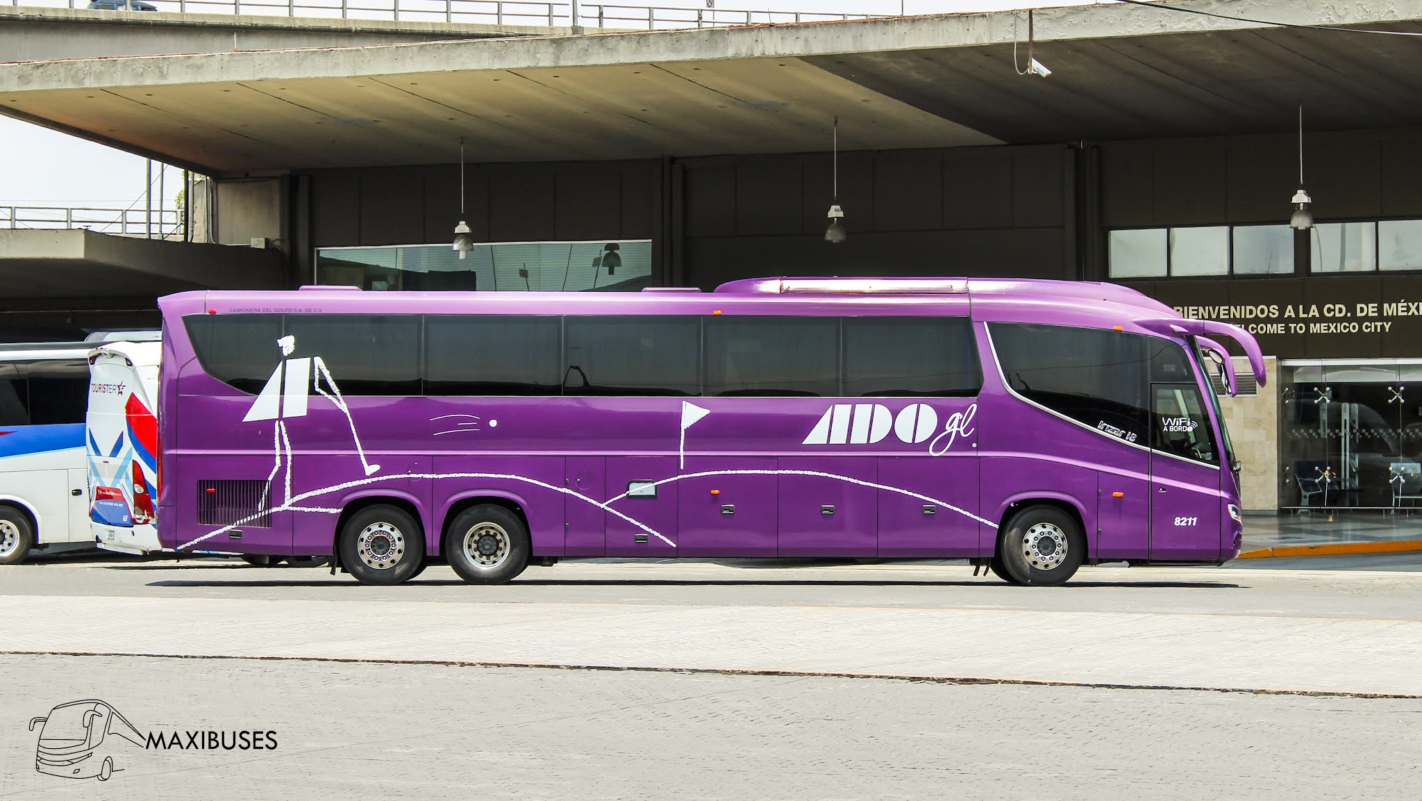 MAXIBUSES: ADO GL