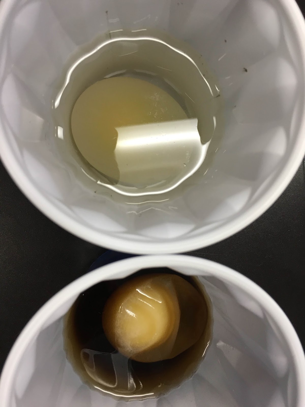 Angeli's Biology Blog : Egg Diffusion Lab