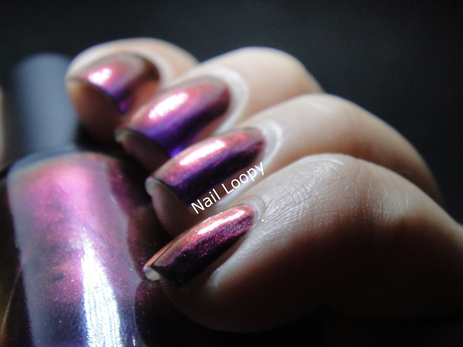 nail loopy: ILNP CYGNUS LOOP