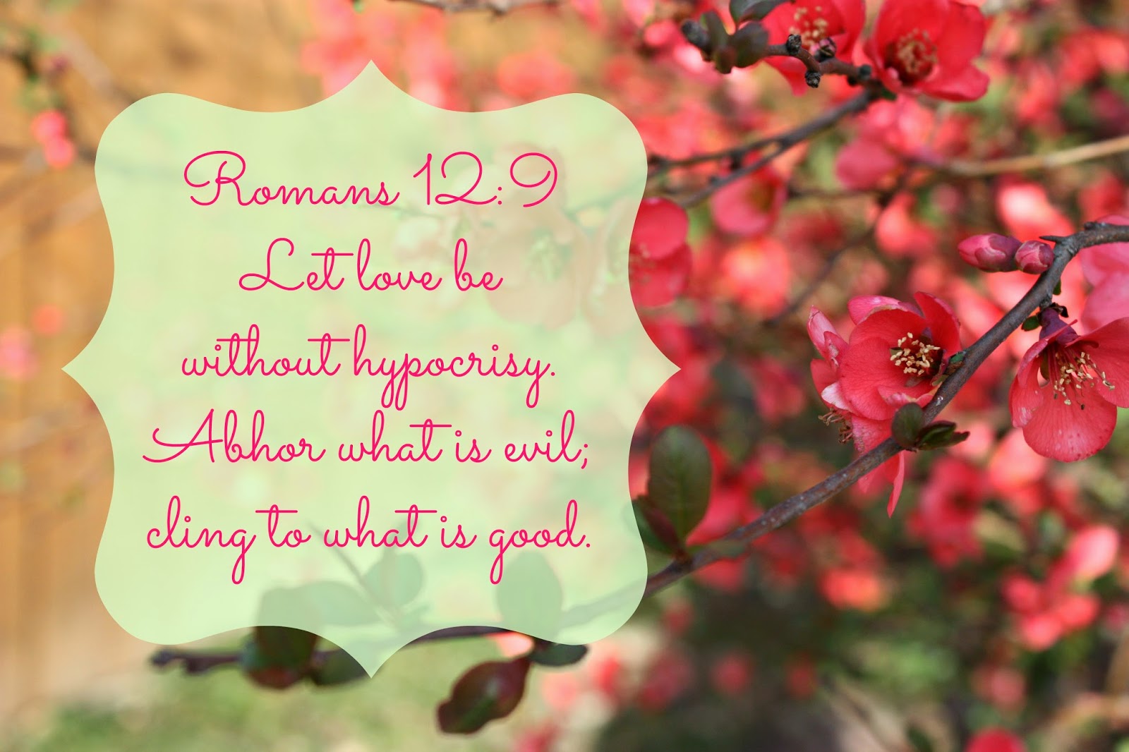 Imperfectly Wonderful World Monday Morning Encouragement Romans 12 9 imperfectly-wonderful-world-monday-morning-encouragement-romans-12-9