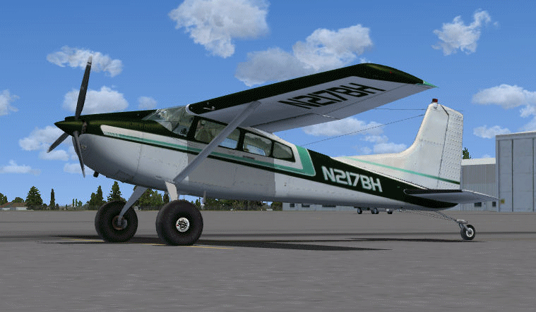 FlySim&Real: FSX/P3D download: Cessna Family