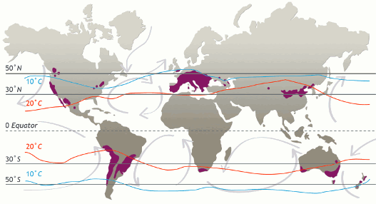 The Wine Gourd: Wine grape varieties: where in the world are they?