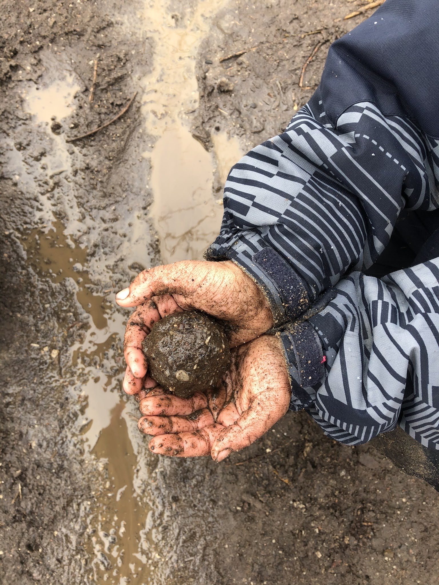 ms. brown's classroom: Mud Play