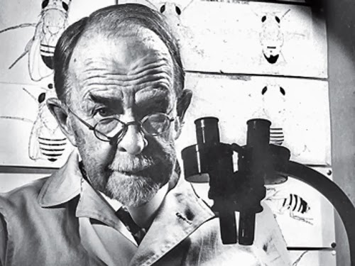 La Genética. Teoría Cromosómica de Sutton y Morgan