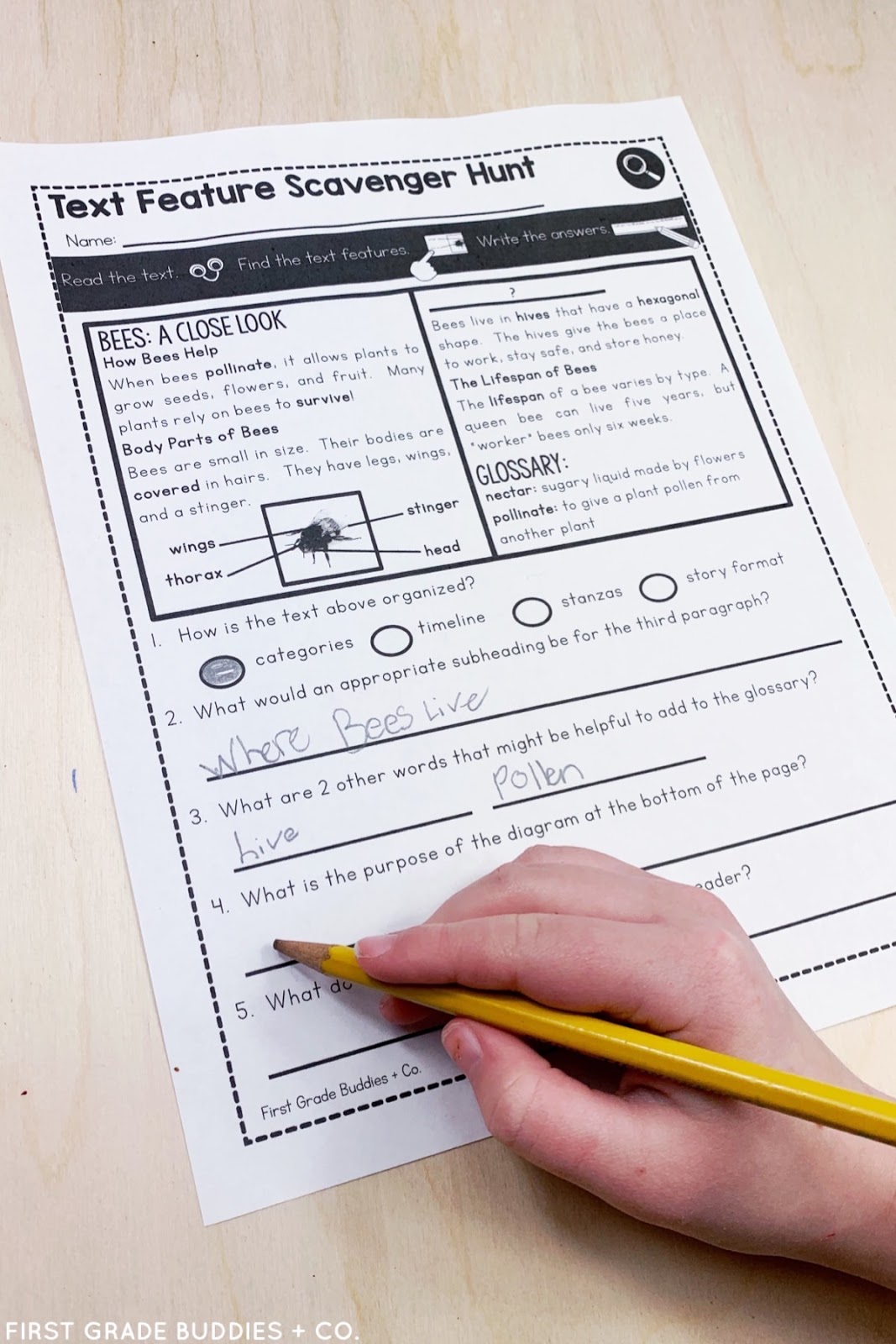 Standards...Simplified! Print a Standard for ELA! | First Grade Buddies