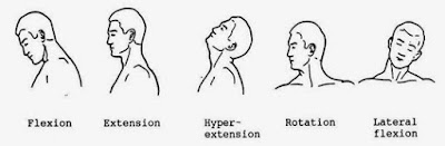 Gerakan ROM Beserta Gambarnya - Catatan Perawat