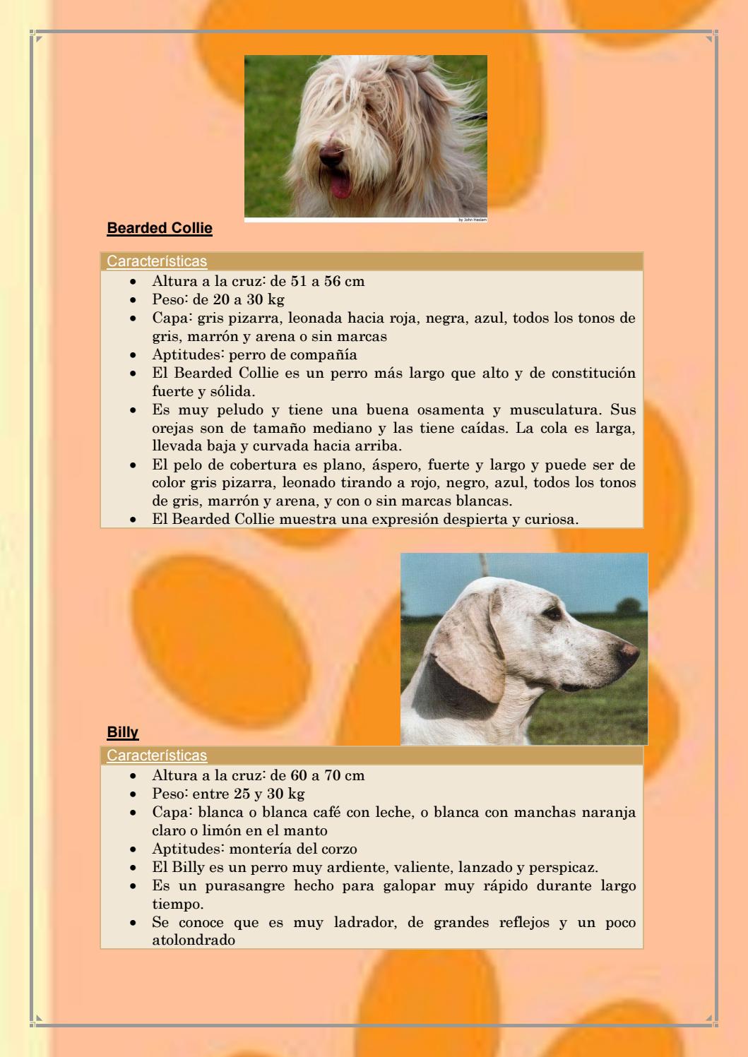 PERROS Y GATOS FAMOSOS: ENCICLOPEDIA DE LOS PERROS TIPOS DE RAZAS