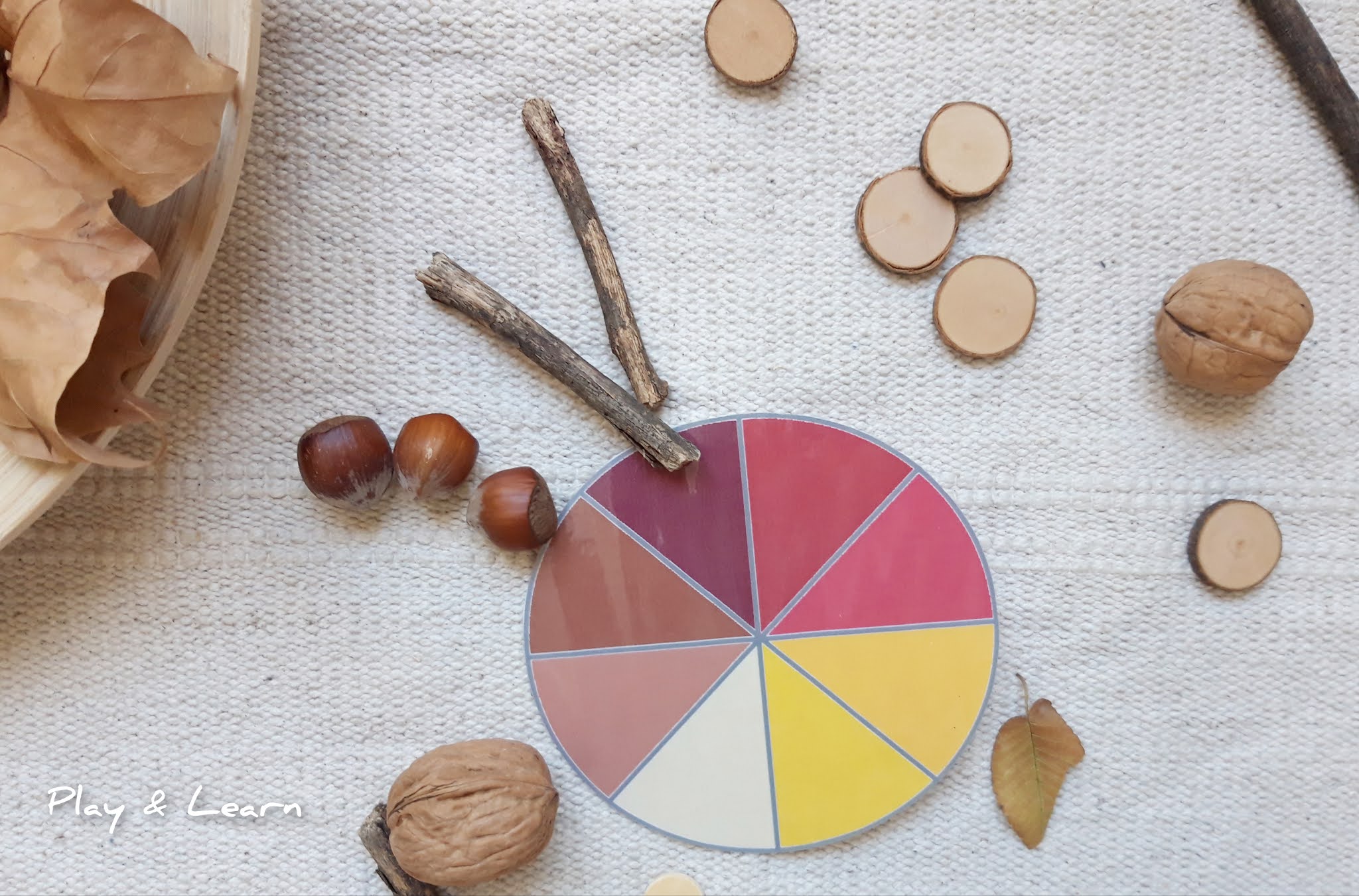 Rueda de colores del otoño