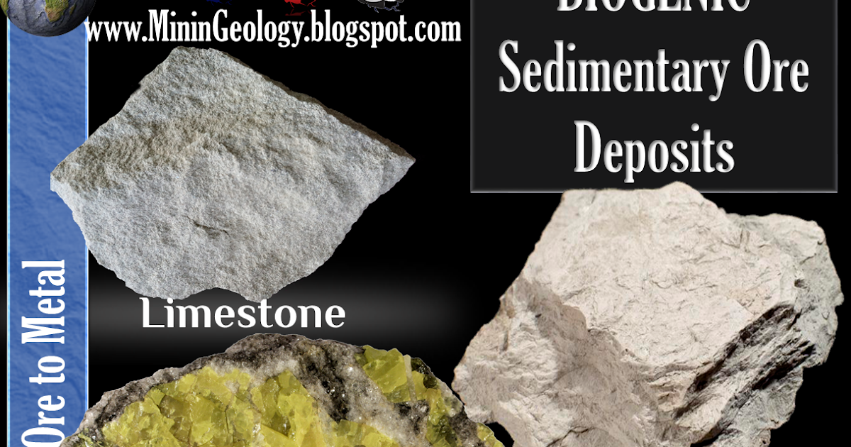 Biogenic Sedimentary Ore Deposits ~ Mining Geology