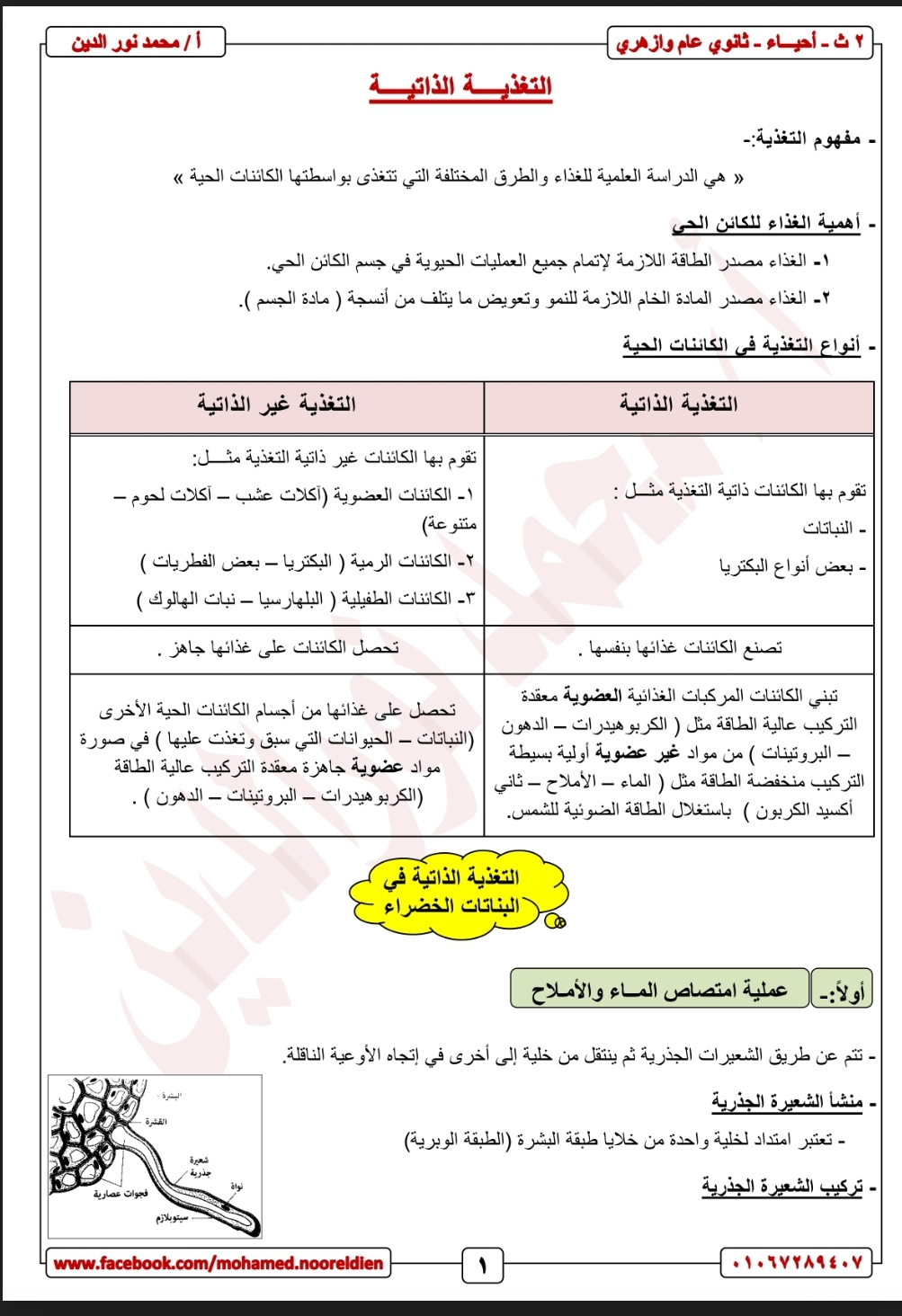 مذكرة احياء للصف الاول الثانوي الترم الثاني غزة نيوز Porn Sex Picture
