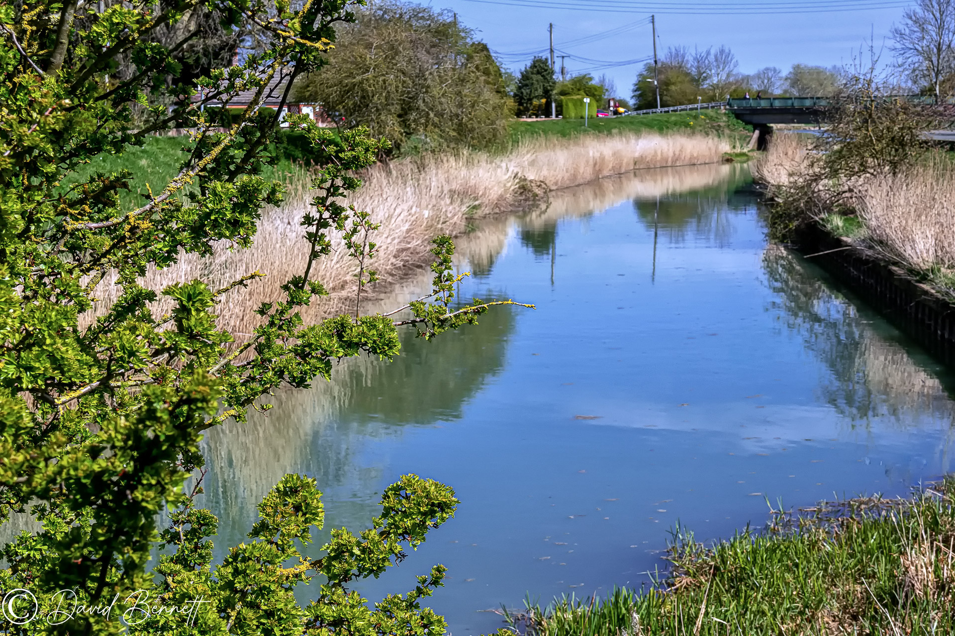 Lincolnshire Cam: Tetney Lock.