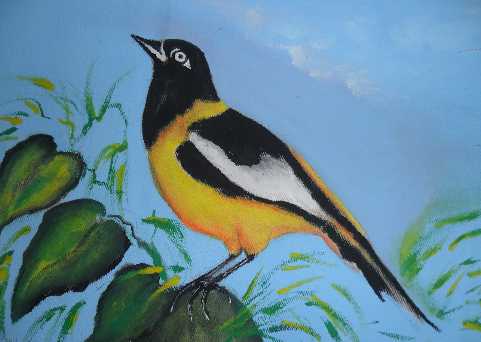 ortegarte: El Turpial