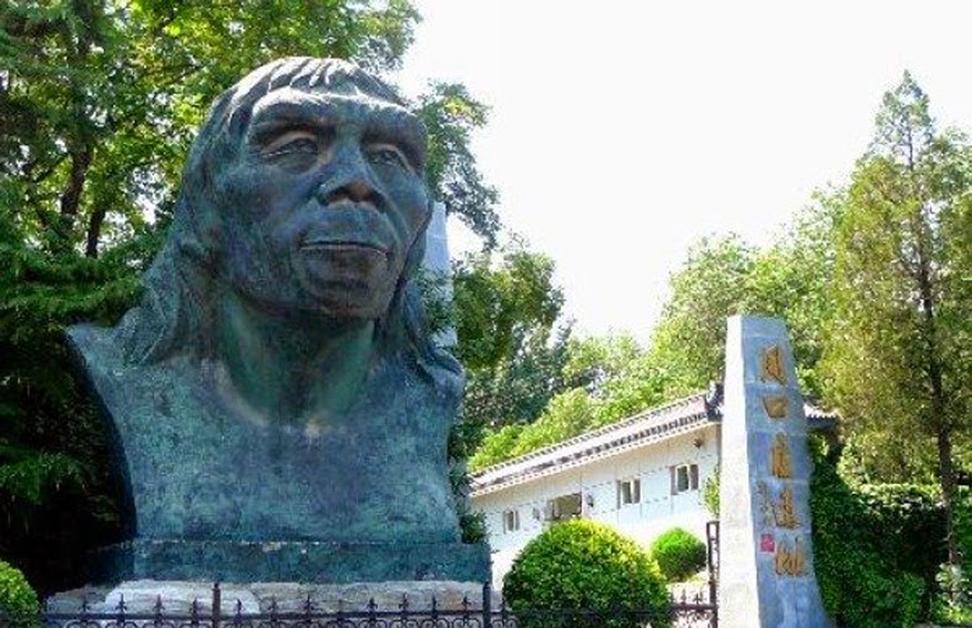 FP from JAPAN (since 2014): file023-Homo erectus pekinensis