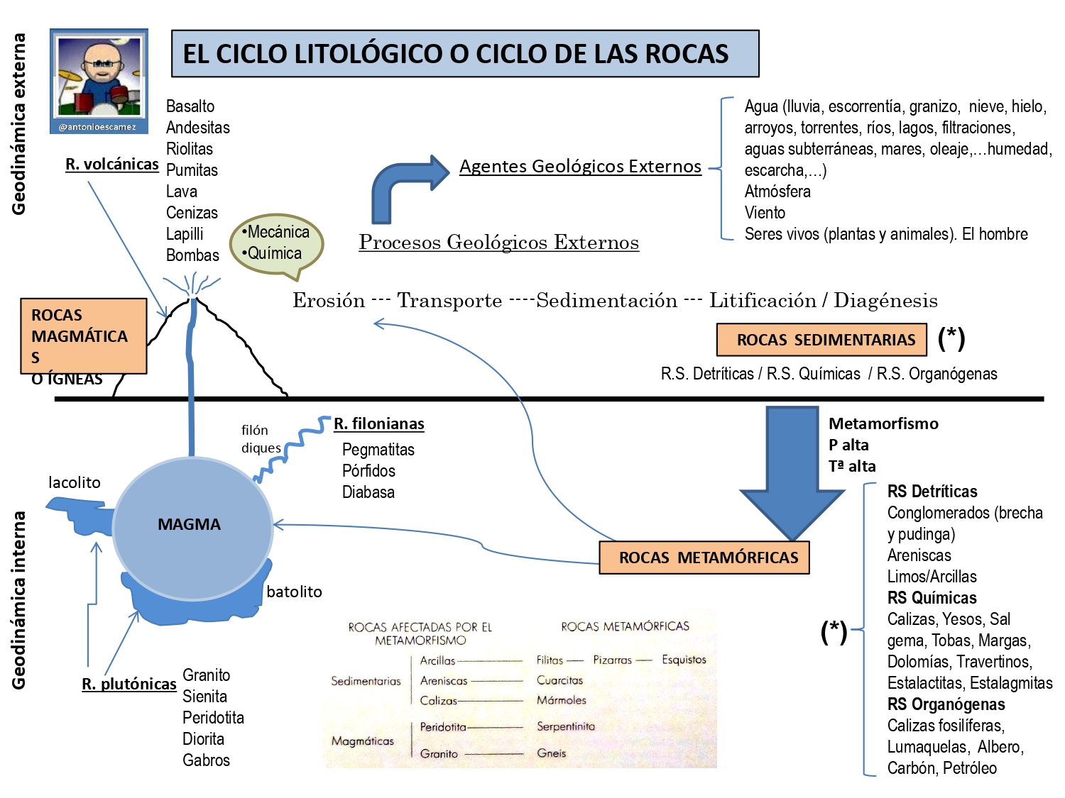 BIOANAMED: Tema 2. Las Rocas y el Ciclo de las Rocas (BG)