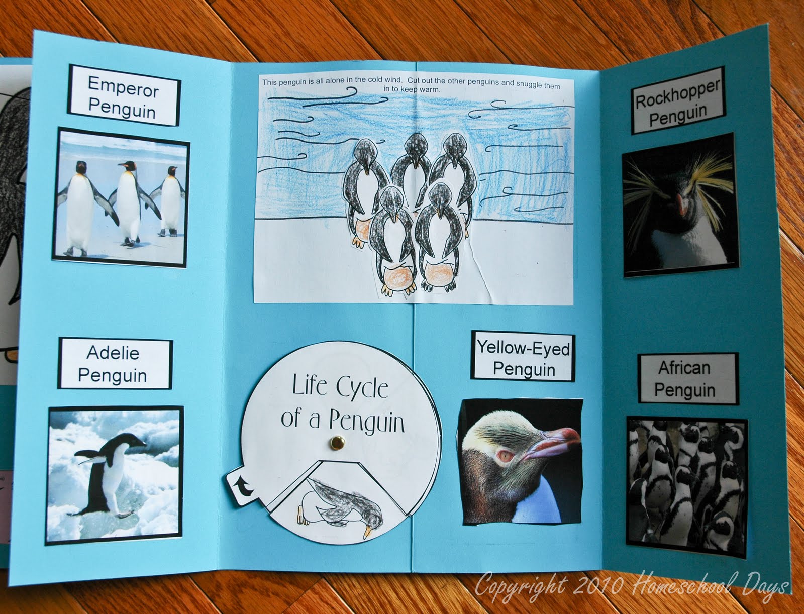 Homeschool Days: Lapbook - Penguins