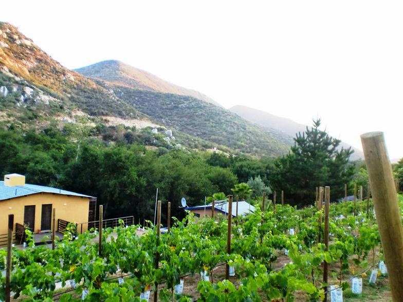 Notas del Valle de Guadalupe: Hotel Review: Casa Encinares