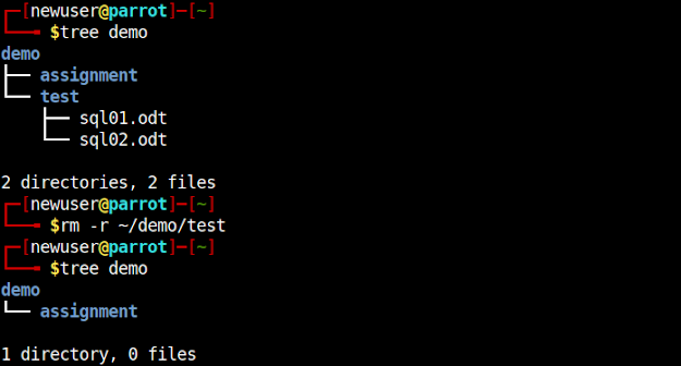 Basic Linux Commands With Examples