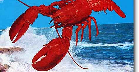 Behind the French Menu: Homard - Lobster. The Two-Clawed European ...