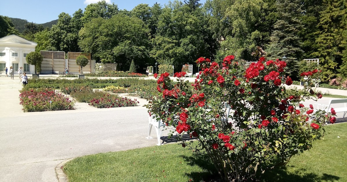 Fr. Mayer: Baden, Rosarium
