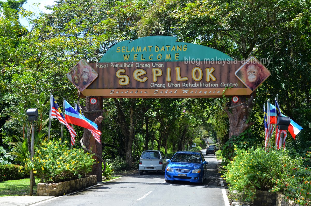 Sepilok Orangutan Rehabilitation Centre Revisited - Travel Food ...