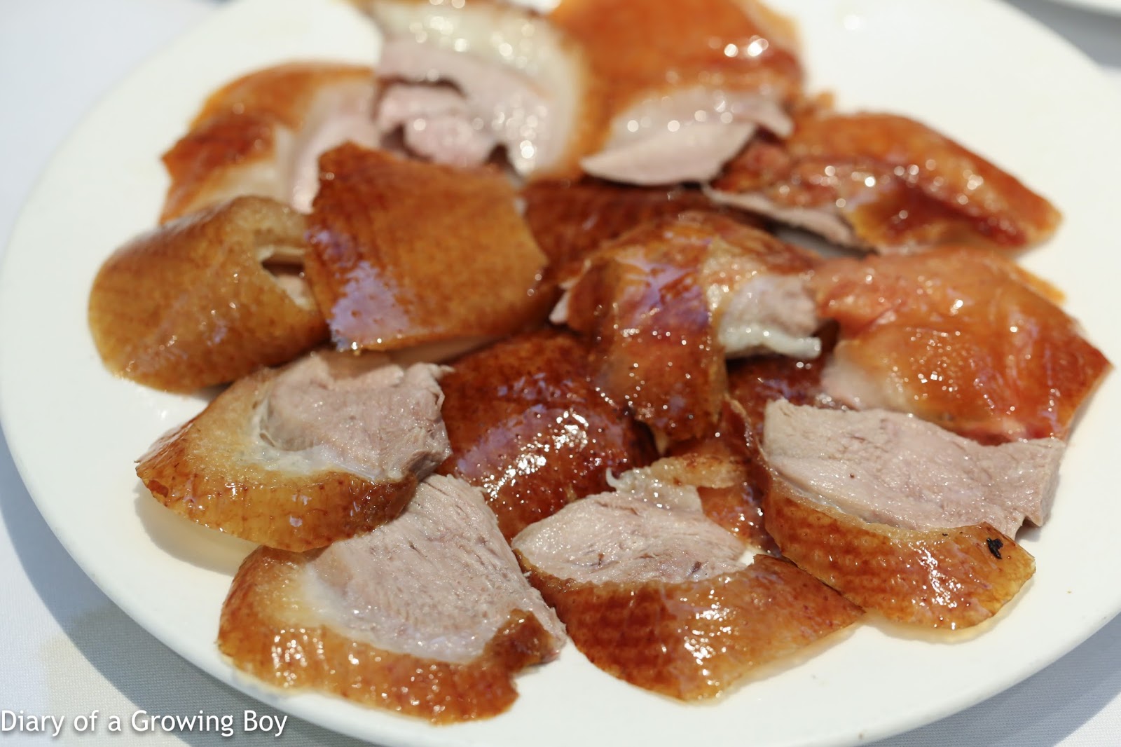 吃喝玩樂 - Diary of a Growing Boy: Classic and fatty Peking duck