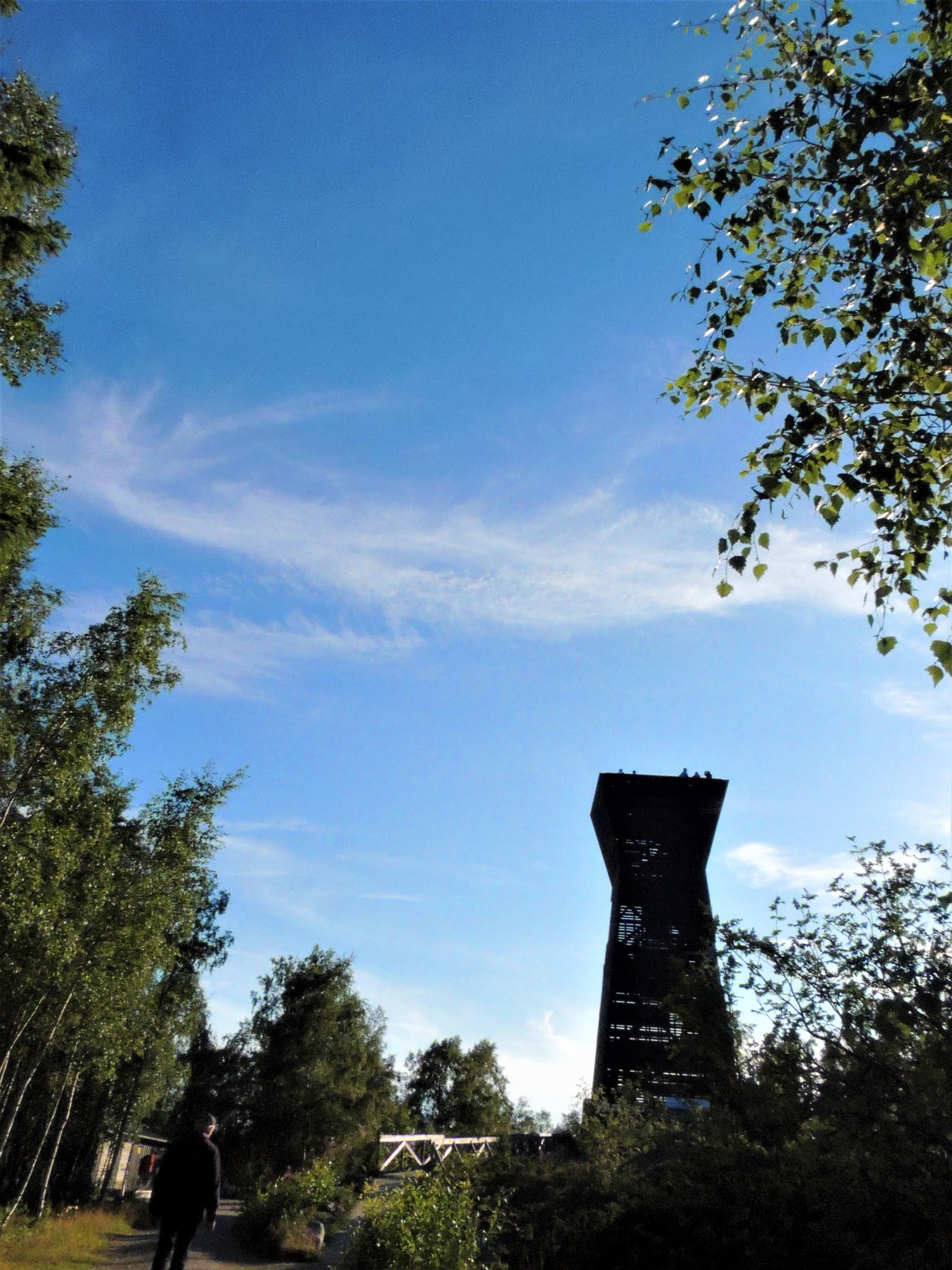 Gröna anemone: Salteriet och Saltkaret