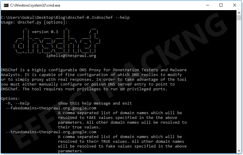 DNSChef - An Advanced DNS Proxy