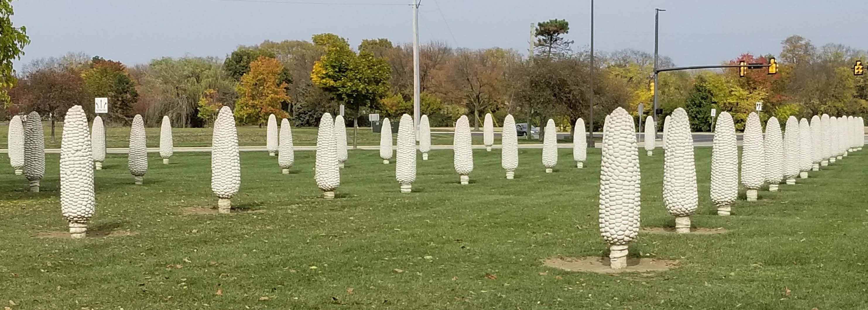 Wide Open Bytes: BnC Road Trip 2020 Day Fourteen