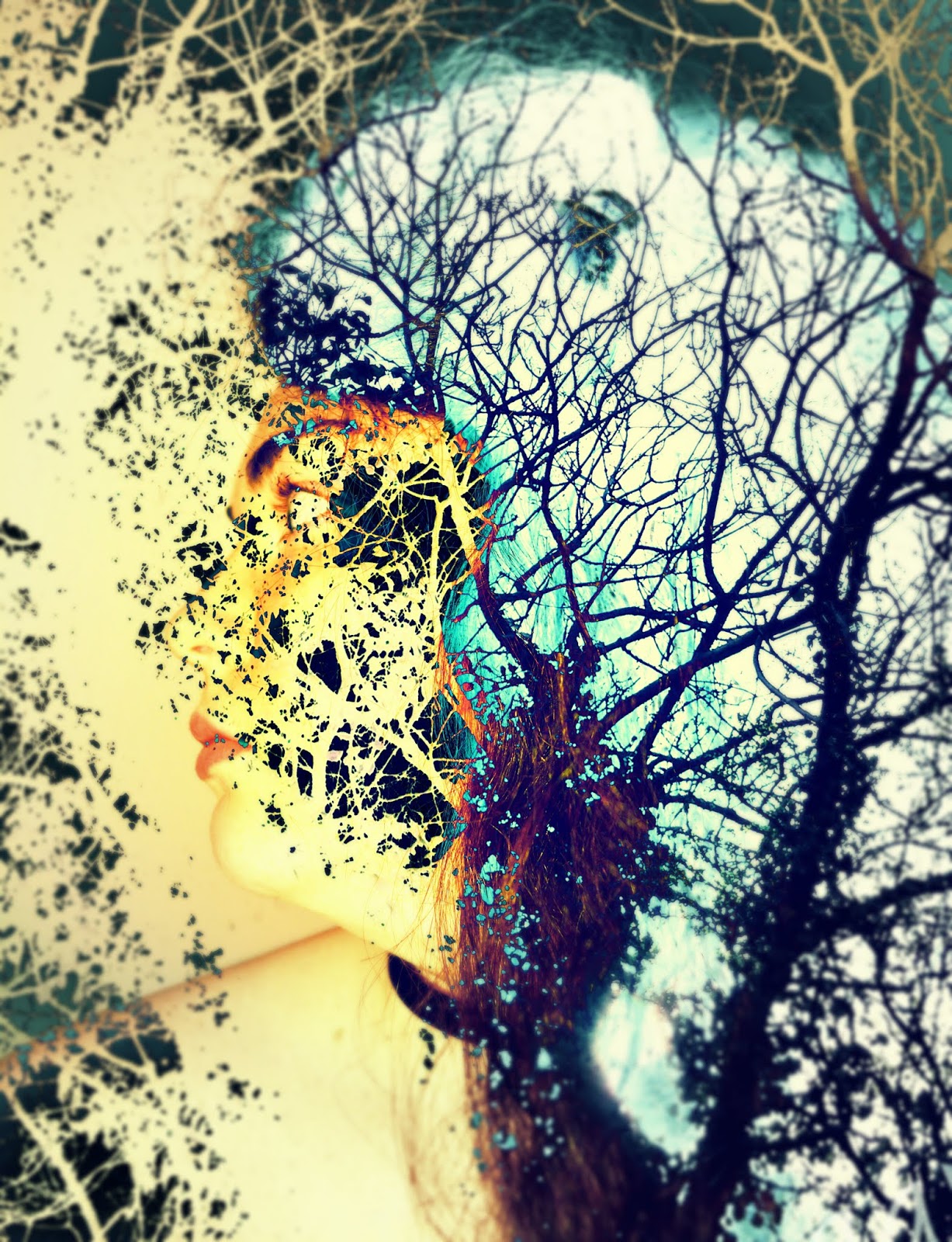 Experimental Photography (2 year)