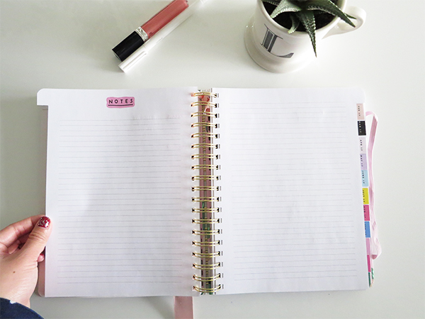 In-Depth Review: Bando Agenda - Solo Lisa