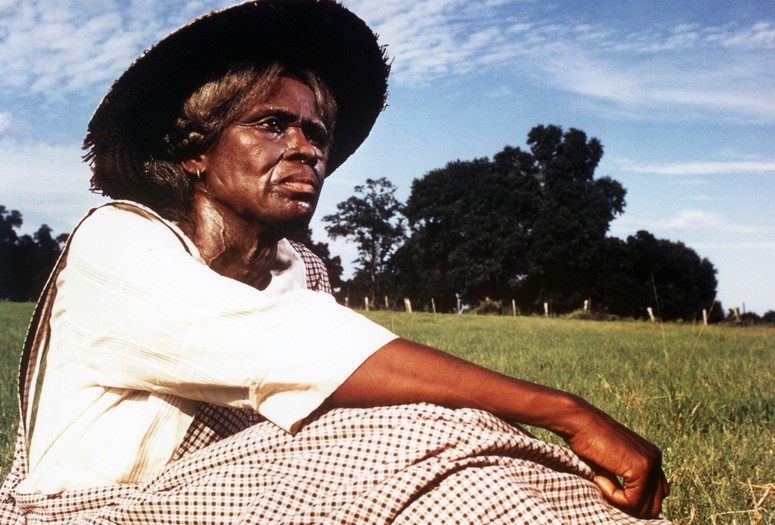 Wide Screen World: The Autobiography of Miss Jane Pittman