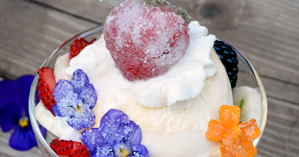 Fruits & Flowers Ice Cream Sundae