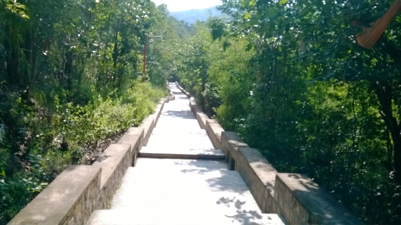 Tirupati Travel Guide: Japali temple pictures