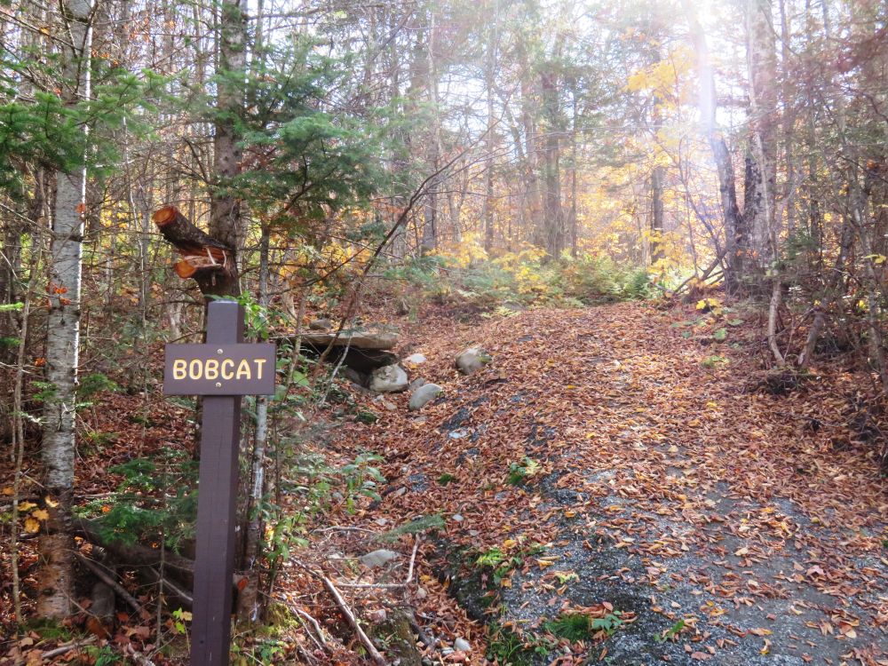 Outdoor Diversion: Hiking Magalloway Mountain