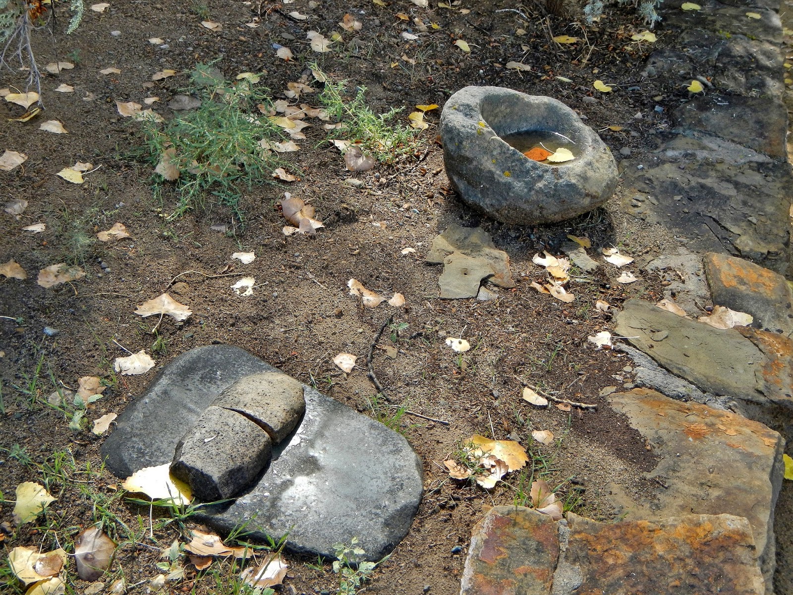 The Southwest Through Wide Brown Eyes: Aztec Ruins National Monument