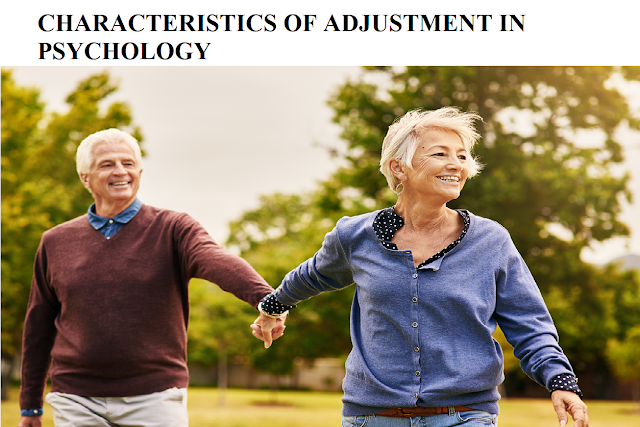 CHARACTERISTICS OF ADJUSTMENT IN PSYCHOLOGY ~ Dr Manju Antil ...