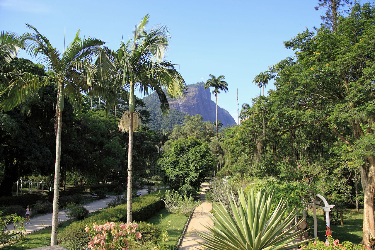 Rio de Janeiro Botanical Garden, Brazil (with Map & Photos)