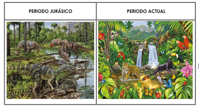 Ciencias Naturales Crayola Mágica : SEGUNDO