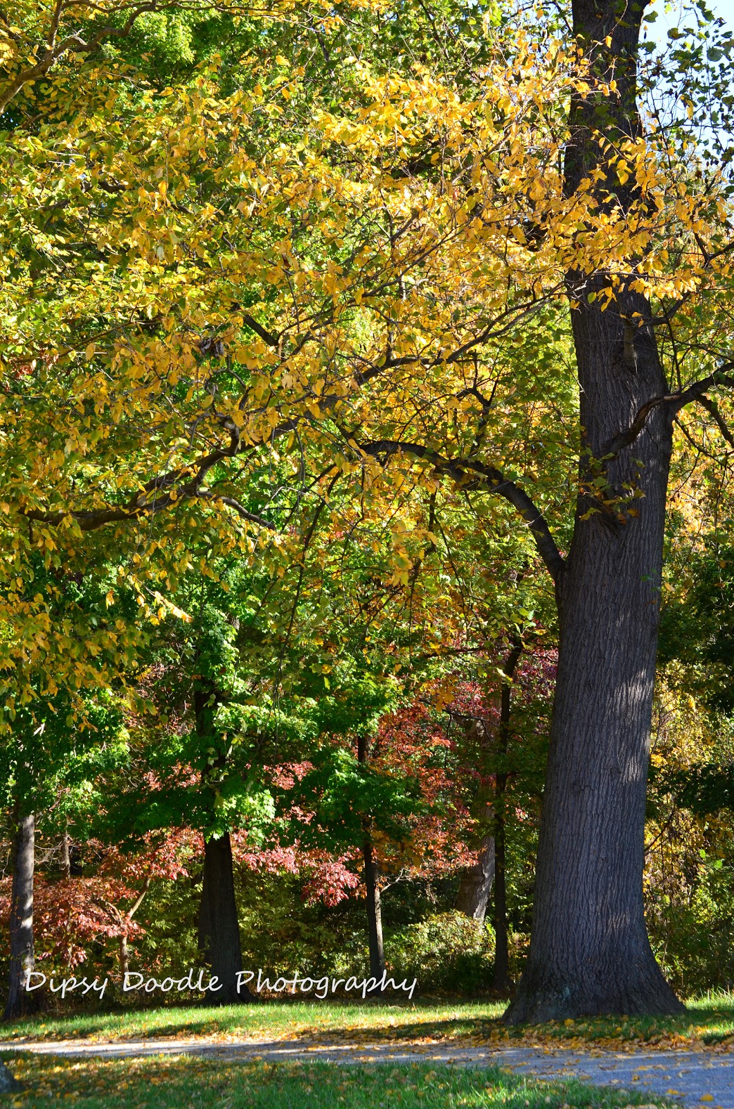 Dipsy Doodle Photography: Lancaster County Scenery