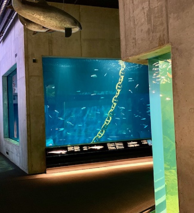 New! Baltic Sea Science Center