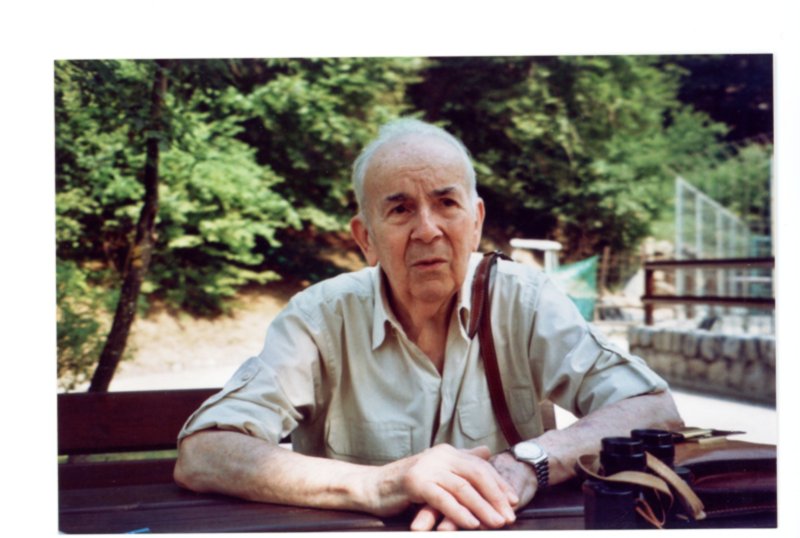 CAGLI ALERT: La battaglia di Paravento, tra memoria e racconto